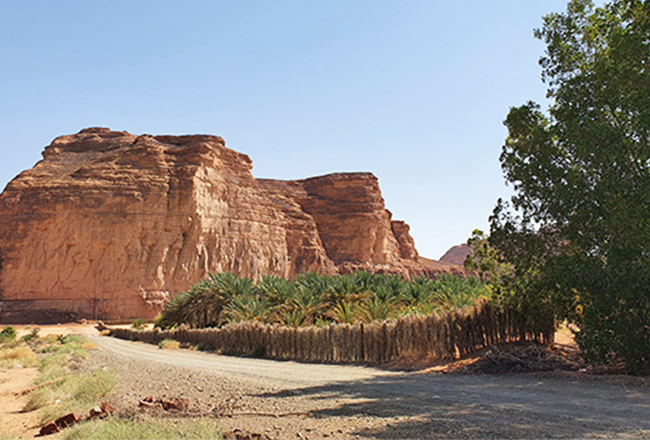 How To Reach Al Ula And Explore The Top 10 Al Ula Tourist Attractions