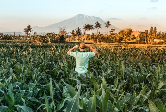 Nature Lovers Guide To Bali : Top 9 Enticing Bucket-List Attractions