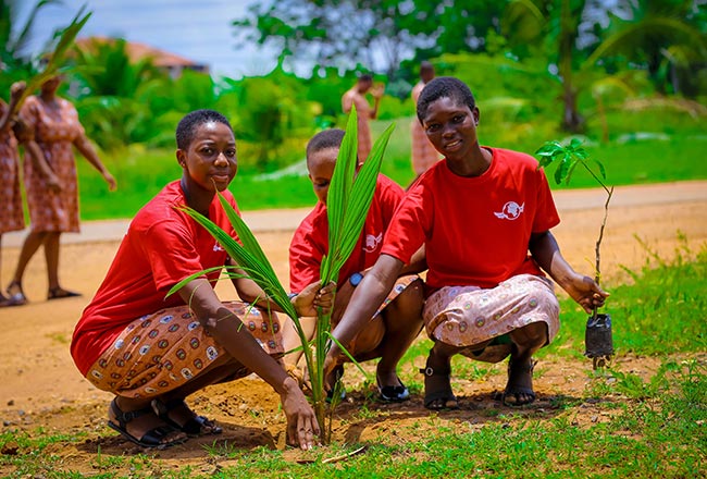 Going Green: A Sustainable Development Initiative